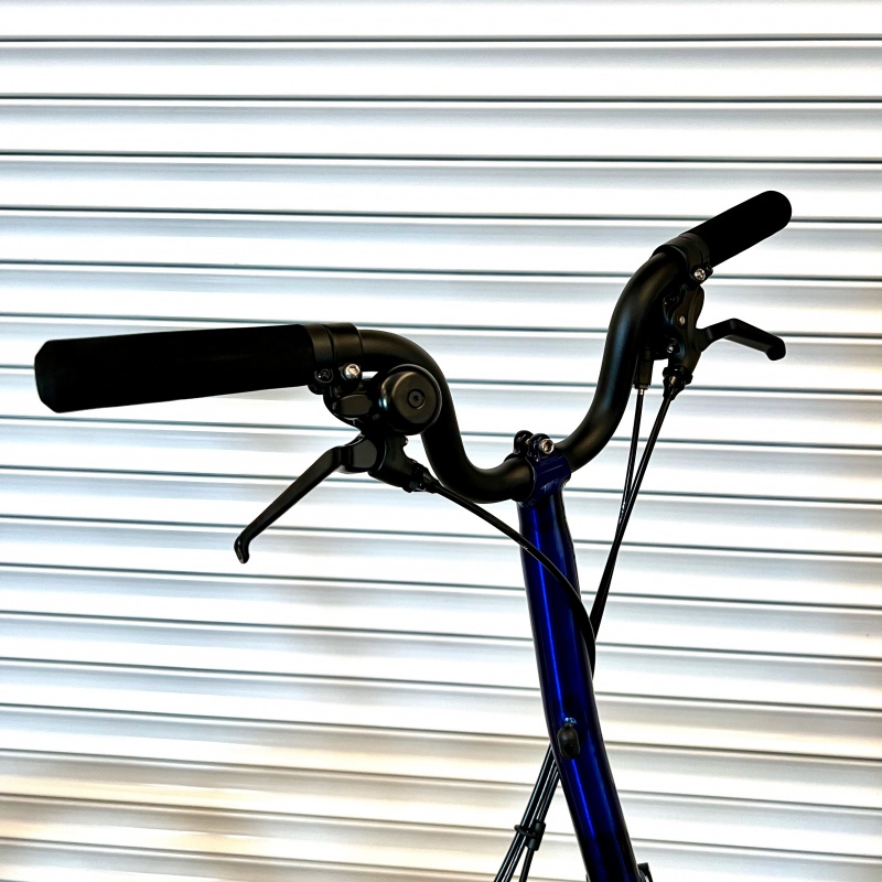 Brompton P Line Mid - luna Ice